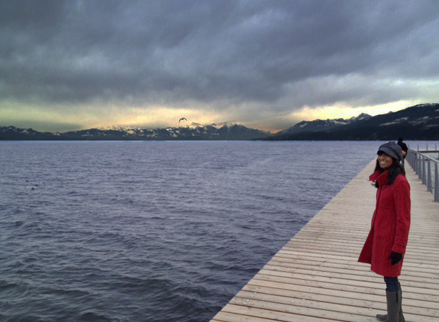 About – Krishna Bharathi